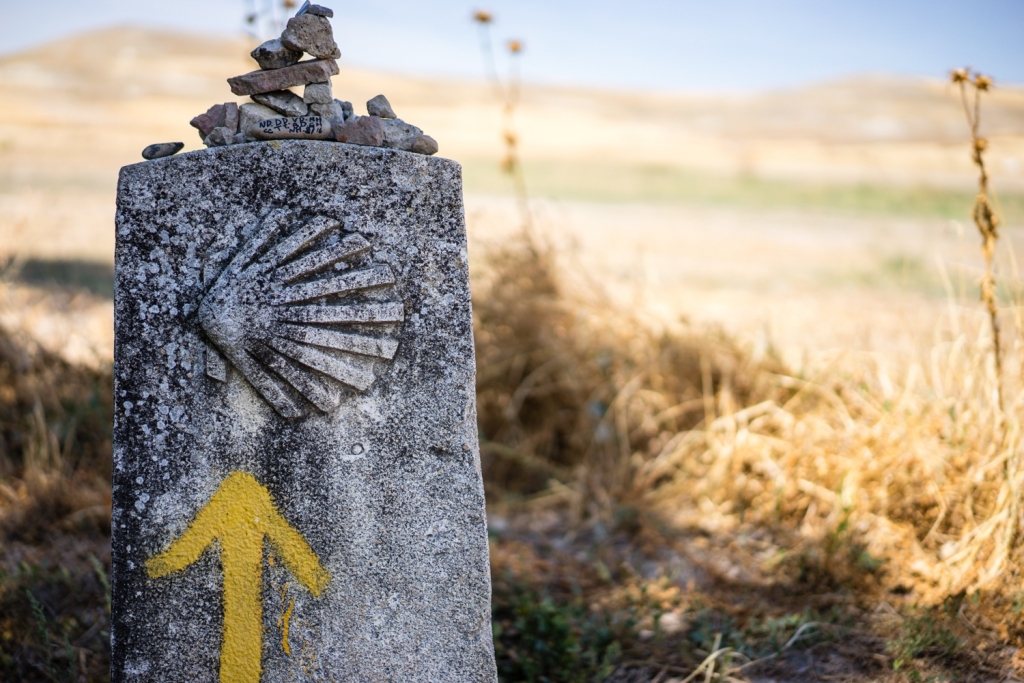 Wie ben ik - Hier is Bas